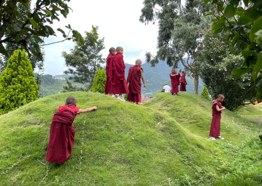 Tergar Meditation Community Blog